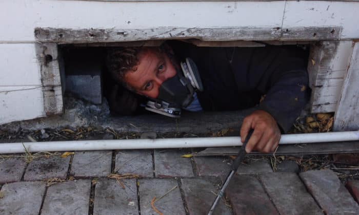 Subterranean Termite Treatments - Mojoe Termite